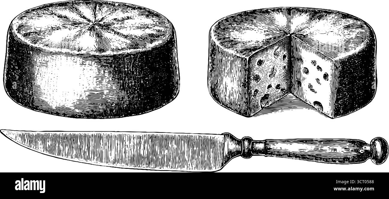 Vintage cheese wheel and knife engraving set for culinary design and ...