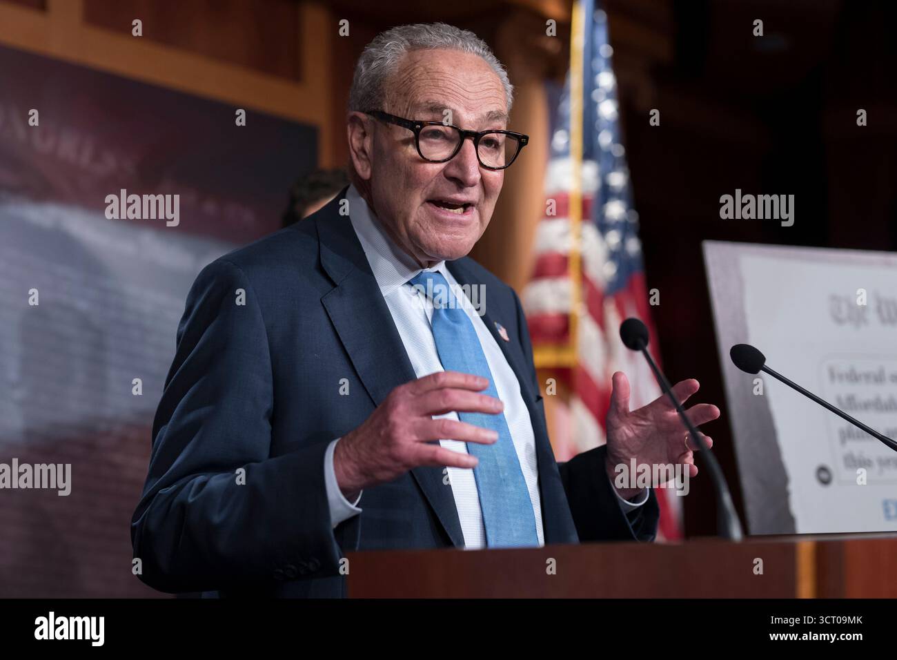 Senate Minority Leader Chuck Schumer, D-N.Y., holds a news conference ...