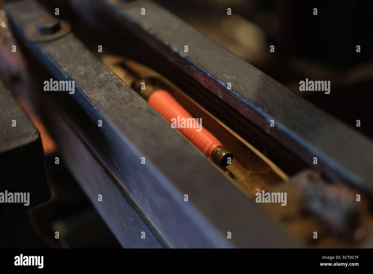 Time lapse cocoon hi-res stock photography and images - Alamy