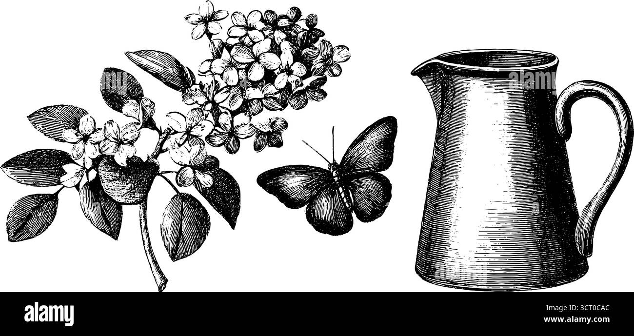 Vintage engraved illustration set of spring blossom branch with ...