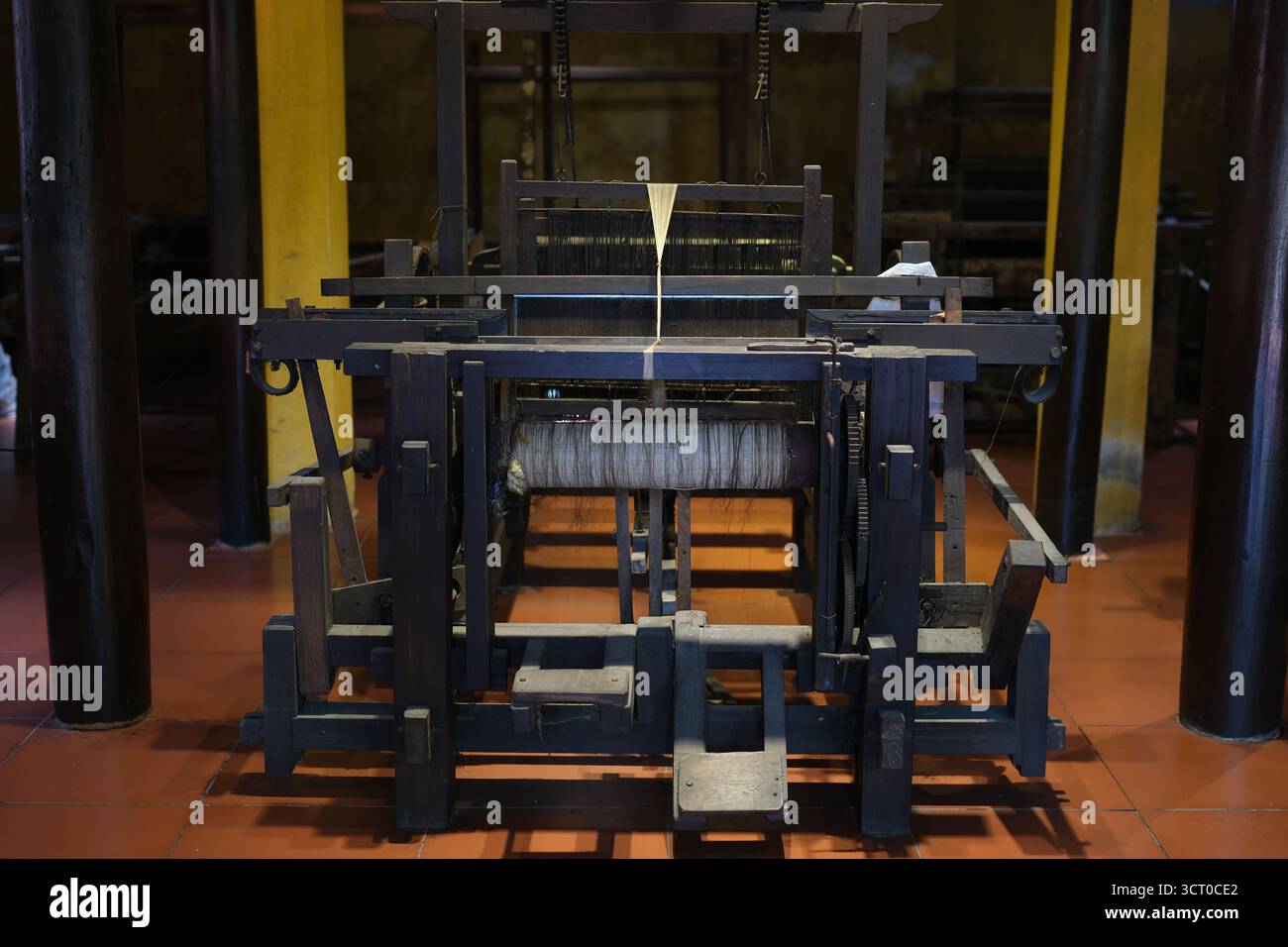 Time lapse cocoon hi-res stock photography and images - Alamy