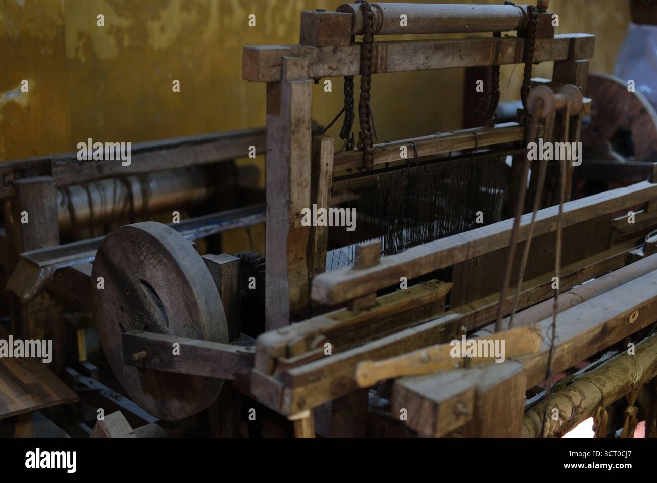 Cinematic video silkworms hatching feeding hi-res stock photography and ...