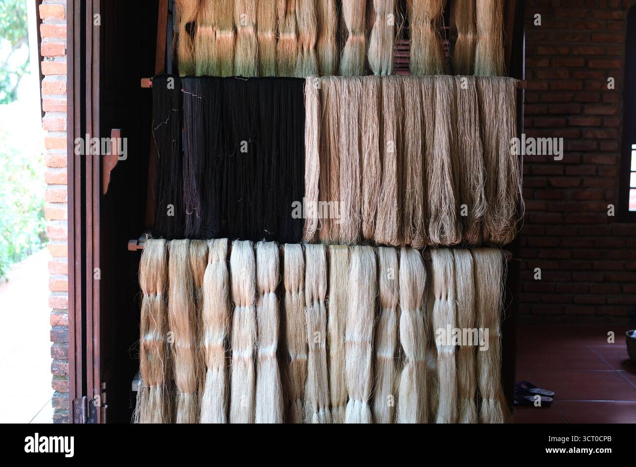 Time lapse cocoon hi-res stock photography and images - Alamy