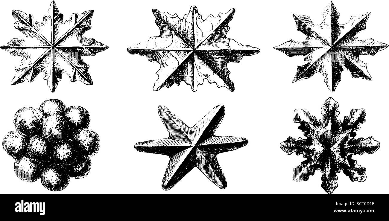 Vintage engraved illustration collection of six pointed snowflakes for ...