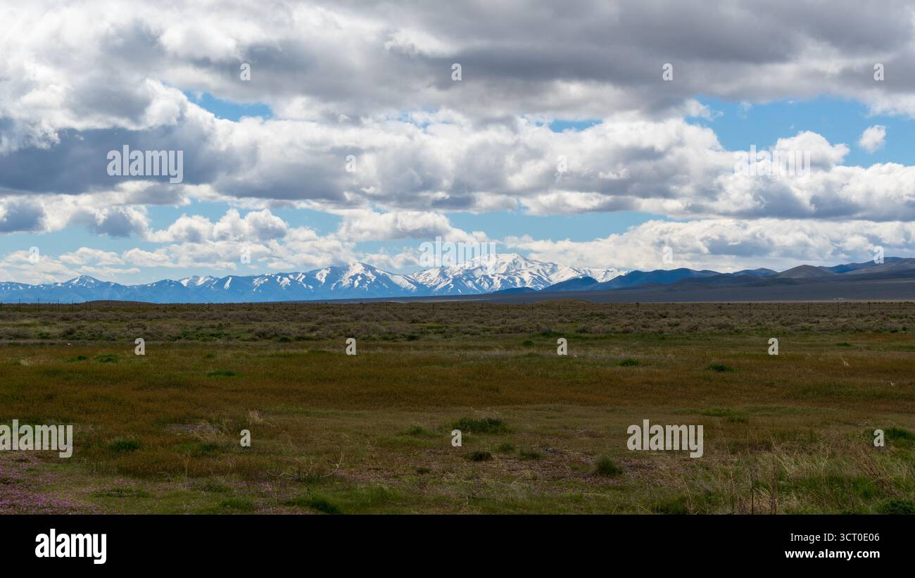 Scrubland under snow hi-res stock photography and images - Alamy