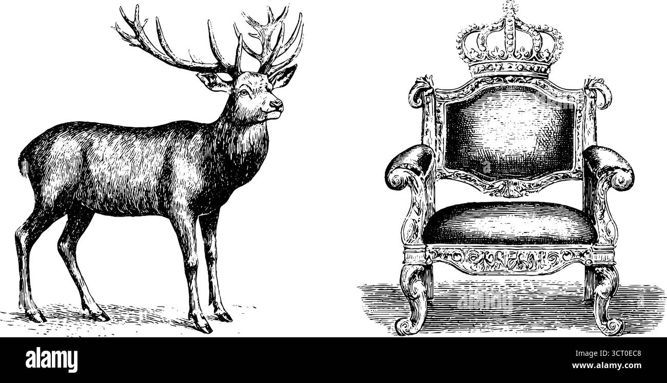 Royal collection engraving Black and White Stock Photos & Images - Alamy