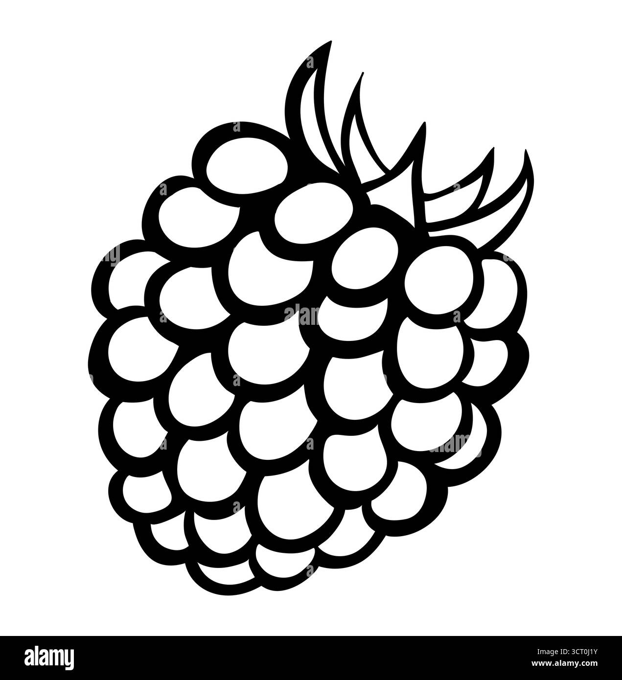 Vector monochrome illustration of raspberry logo Stock Vector Image ...