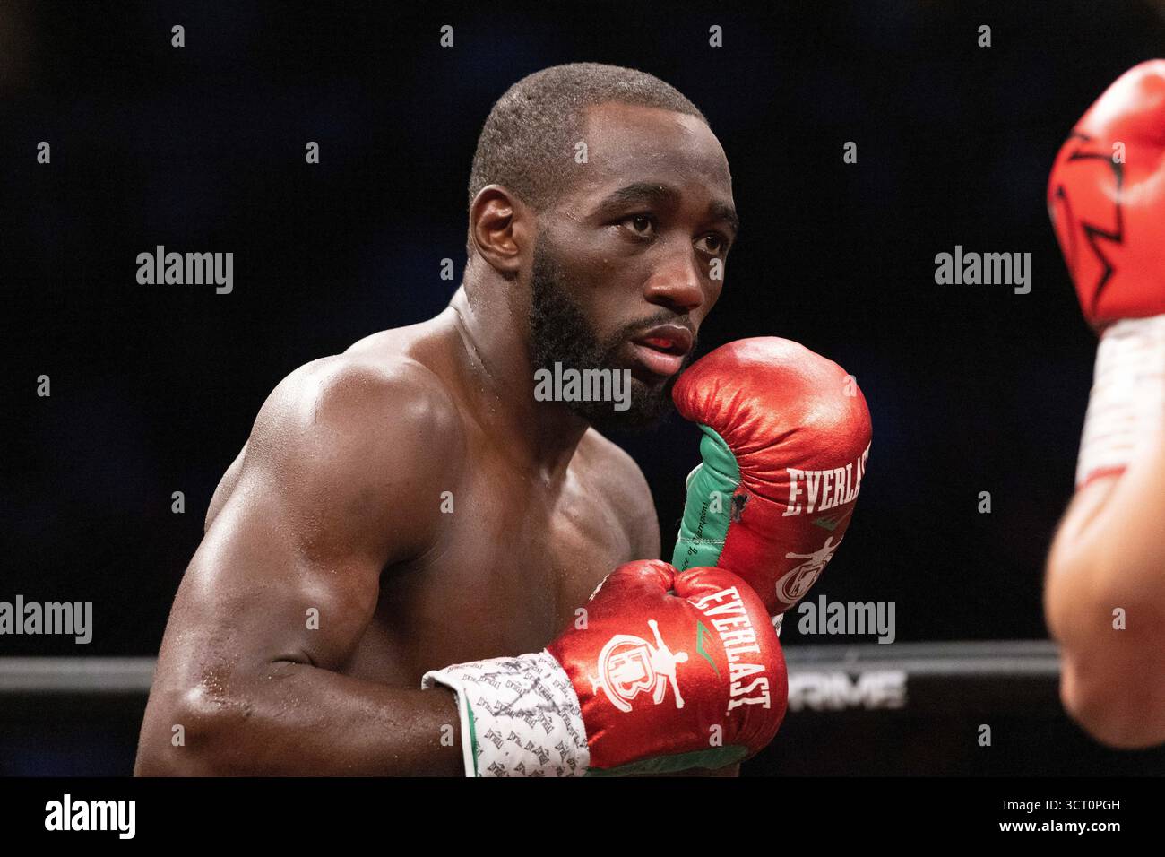 FILE - Terence "Bud" Crawford, left, fights David Avanesyan during a ...