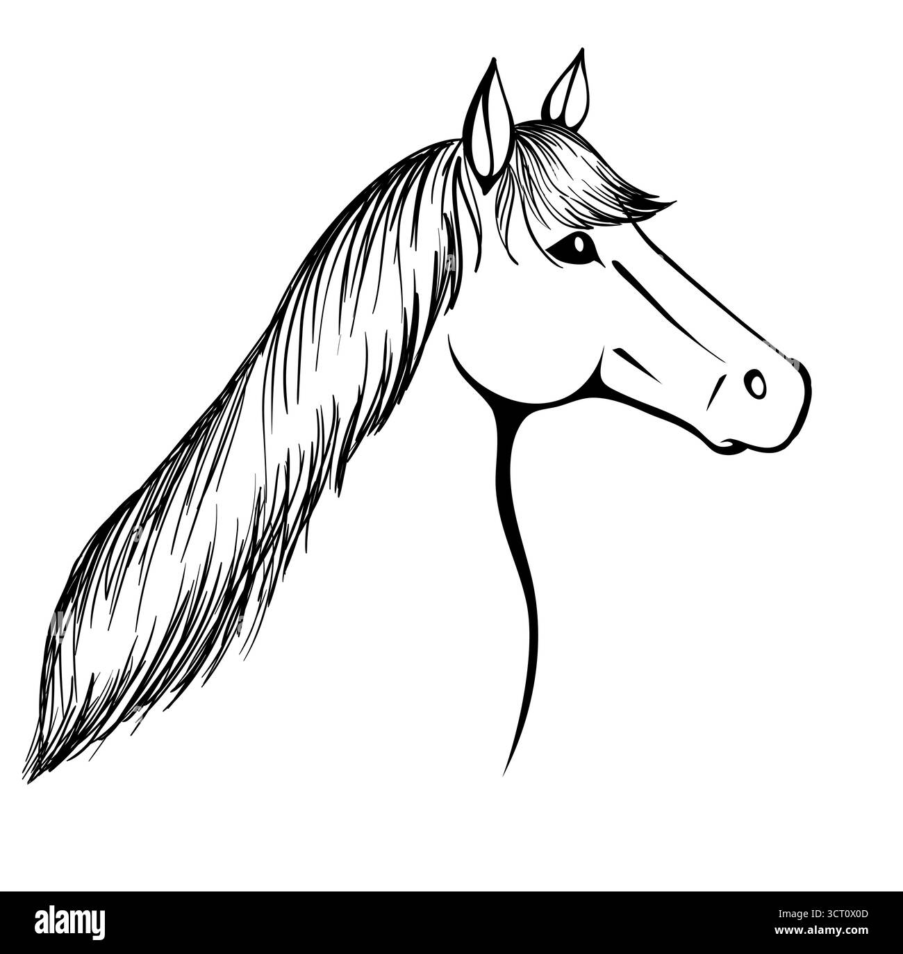 Line of horses Cut Out Stock Images & Pictures - Alamy