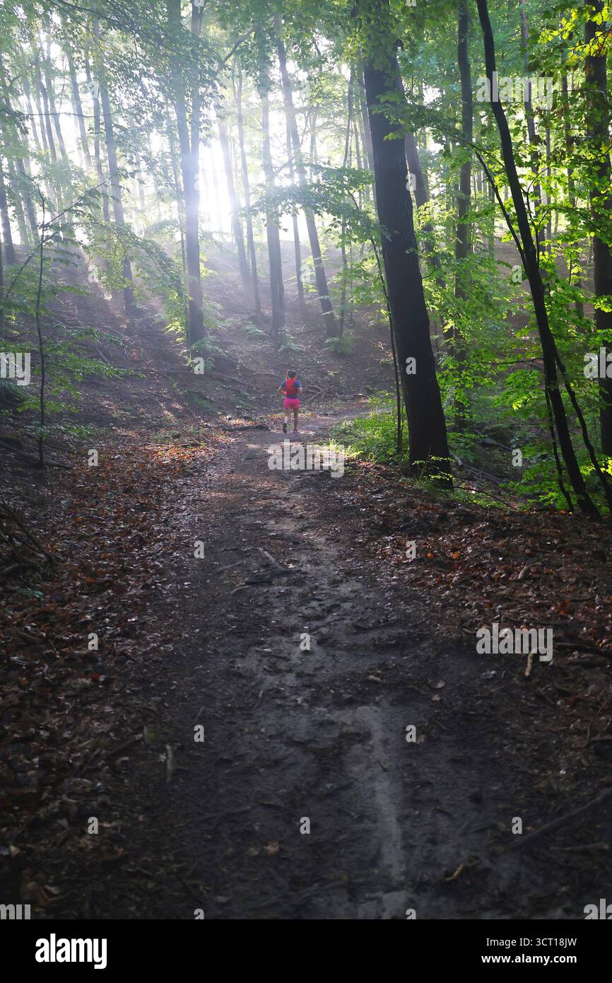 Trail runners illuminated by sunlight in the forest Stock Photo - Alamy