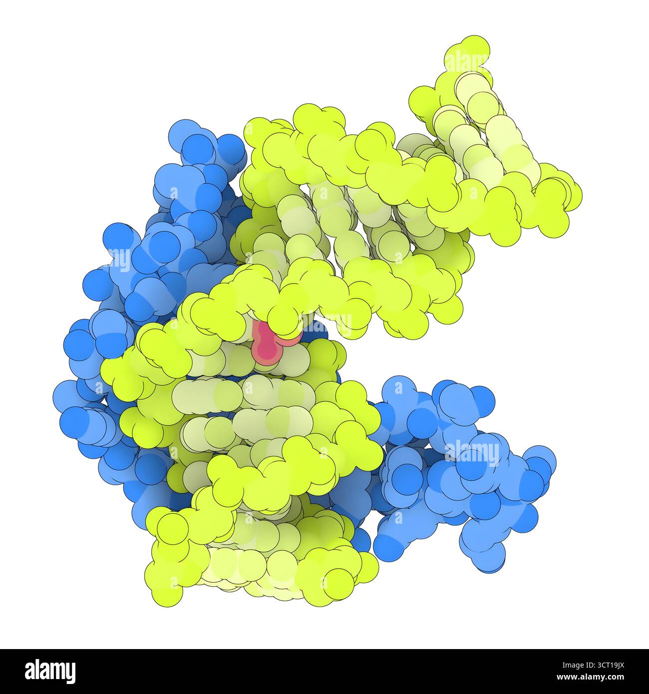 Hmg1 domain a binding to cisplatin modified dna hi-res stock ...