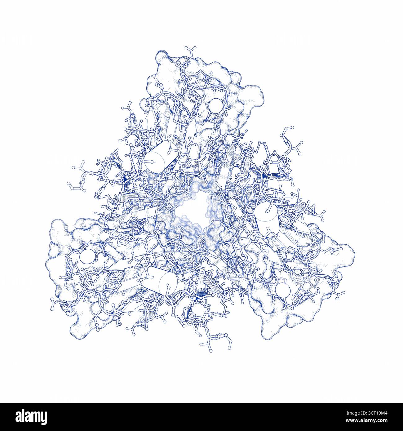 Phage assembly hi-res stock photography and images - Alamy