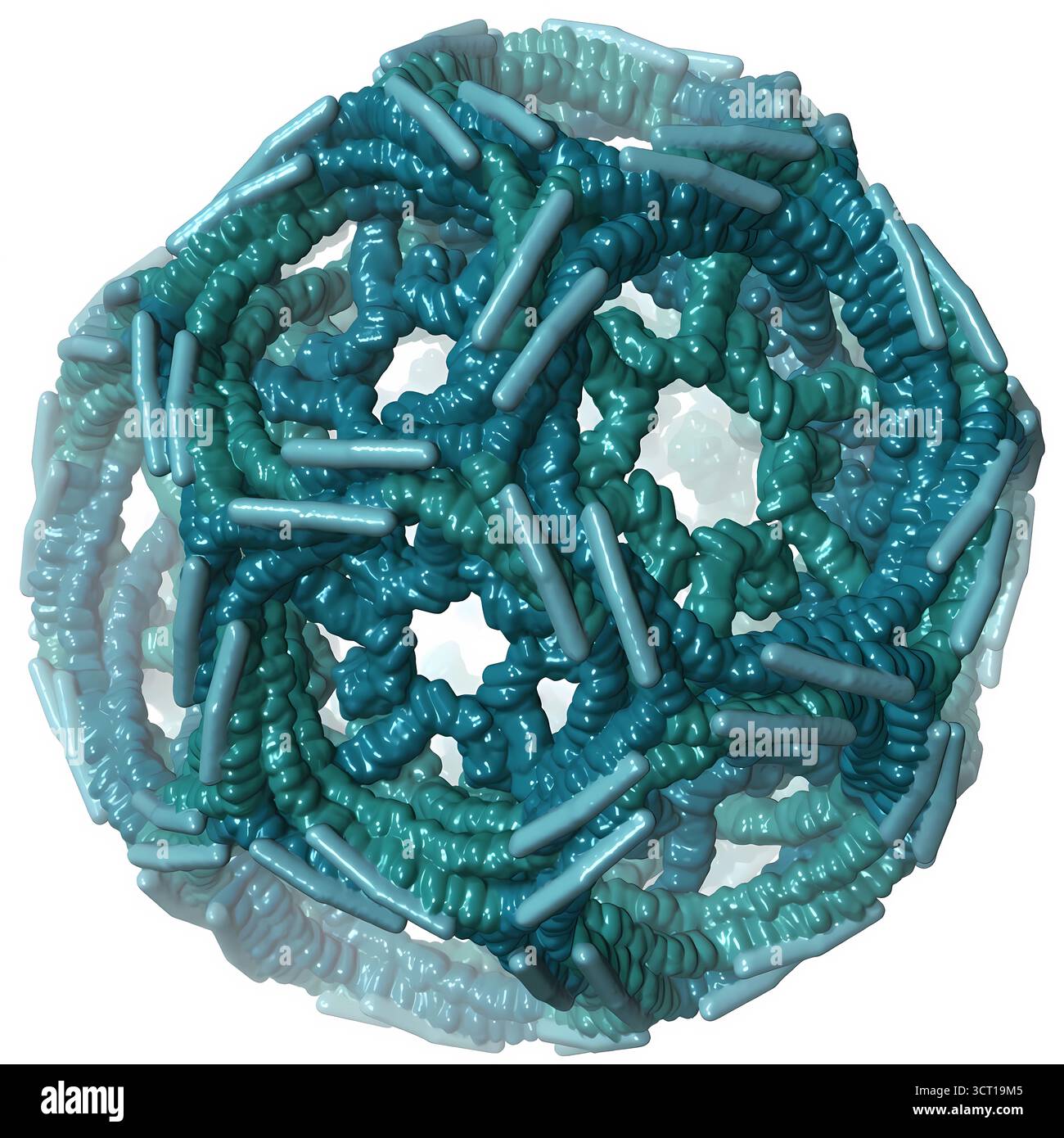 Clathrin D6 coat lattice assembly, illustration Stock Photo - Alamy