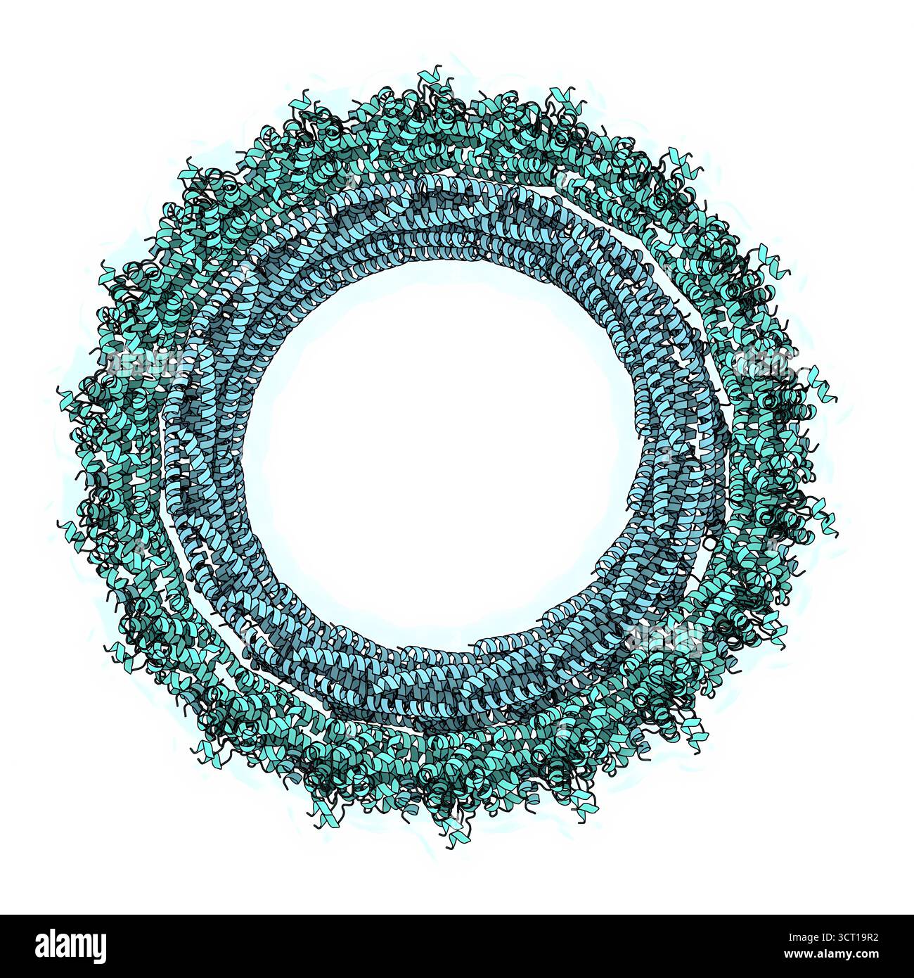 Bilayer thinning hi-res stock photography and images - Alamy