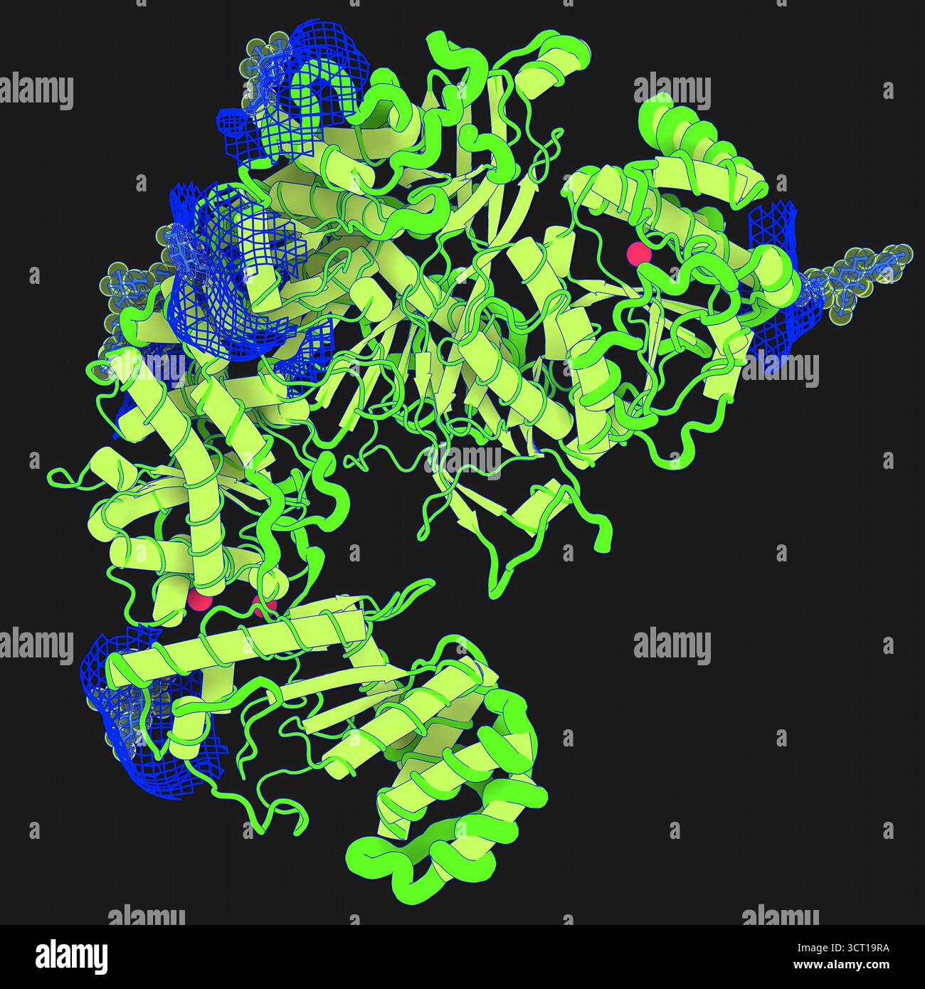 Thioredoxin like domain hi-res stock photography and images - Alamy