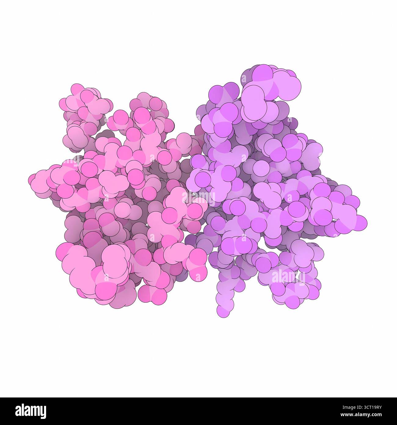 Illustration ray structure rna hi-res stock photography and images - Alamy
