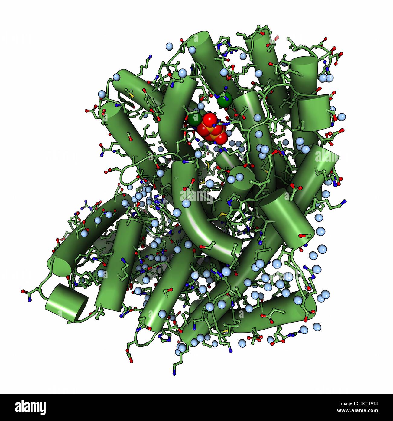 Illustration of the X-ray structure of Arabidopsis sesterterpene ...