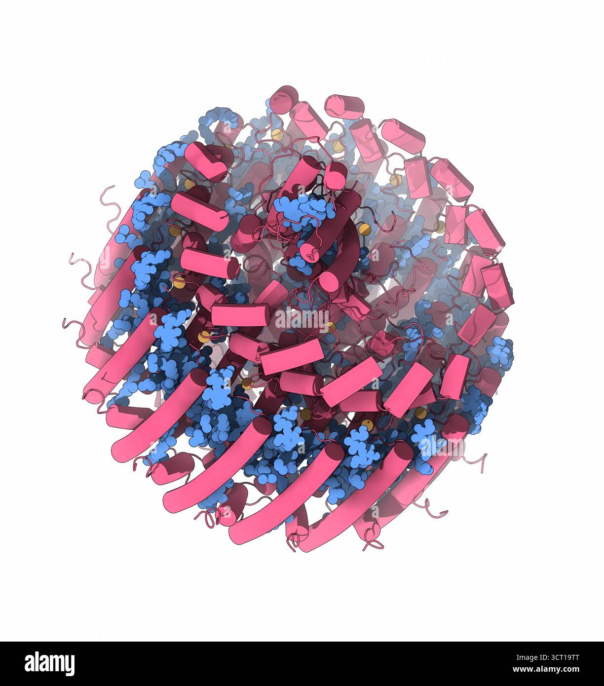 Red shifted absorption hi-res stock photography and images - Alamy