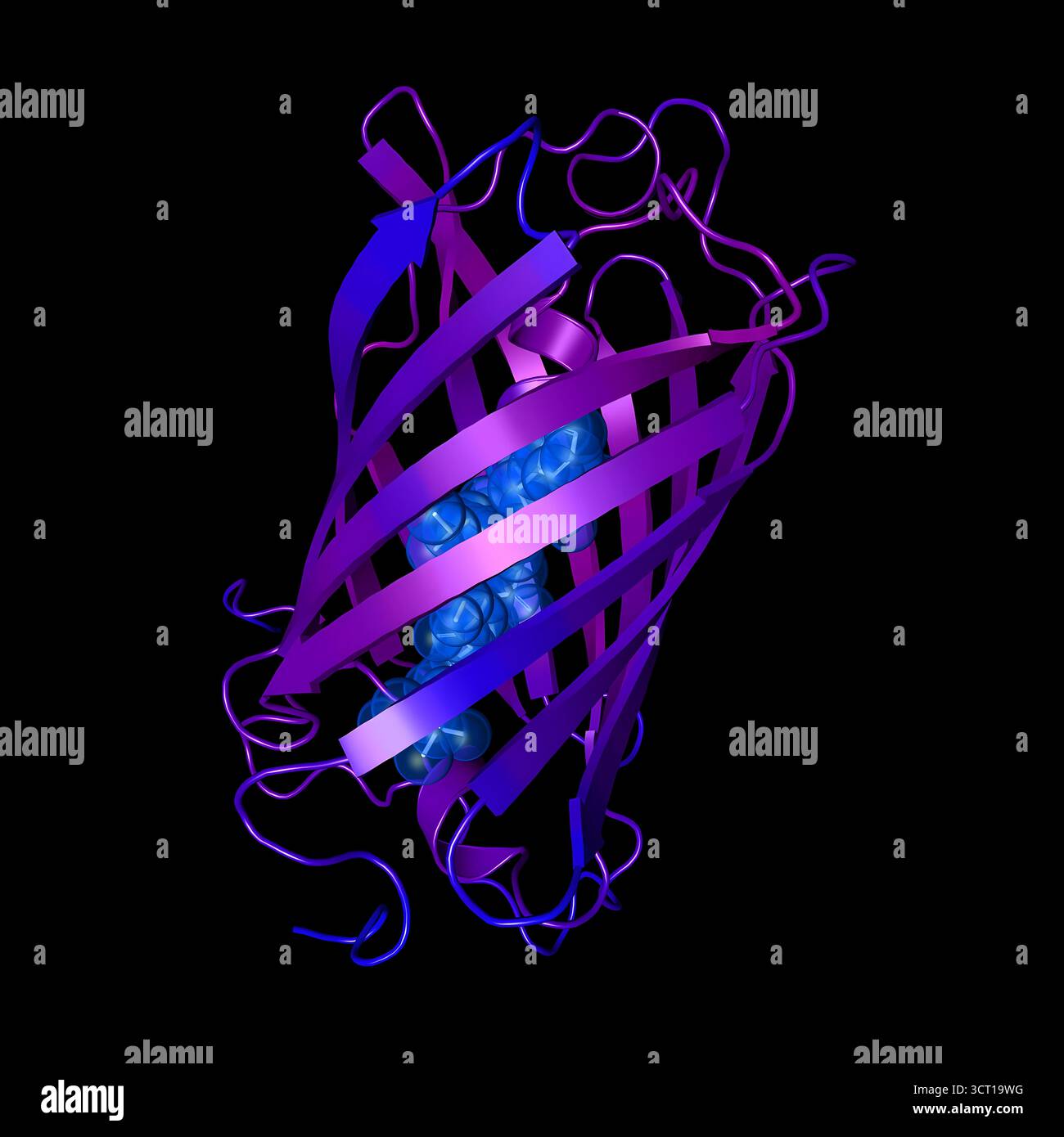 Green fluorescent protein from aequorea victoria hi-res stock ...