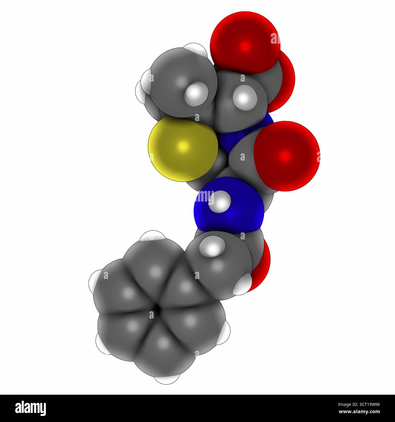 Illustration of penicillin, a beta-lactam antibiotic that blocks ...