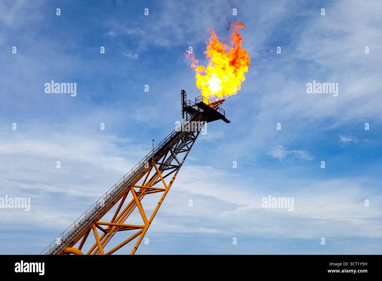 Burning torch plant associated hi-res stock photography and images - Alamy