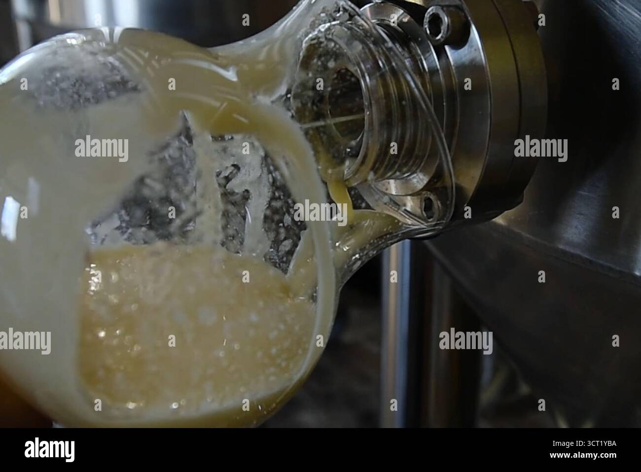 The sampling of beer from a barrel in a brewery Stock Photo - Alamy