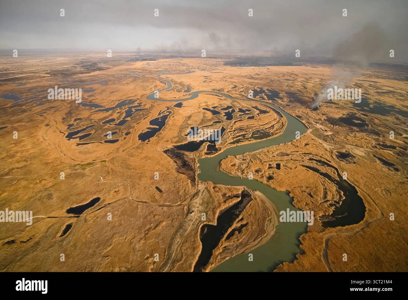 tundra fire. Burning dry grass and peat bogs, fire and smoke in the ...