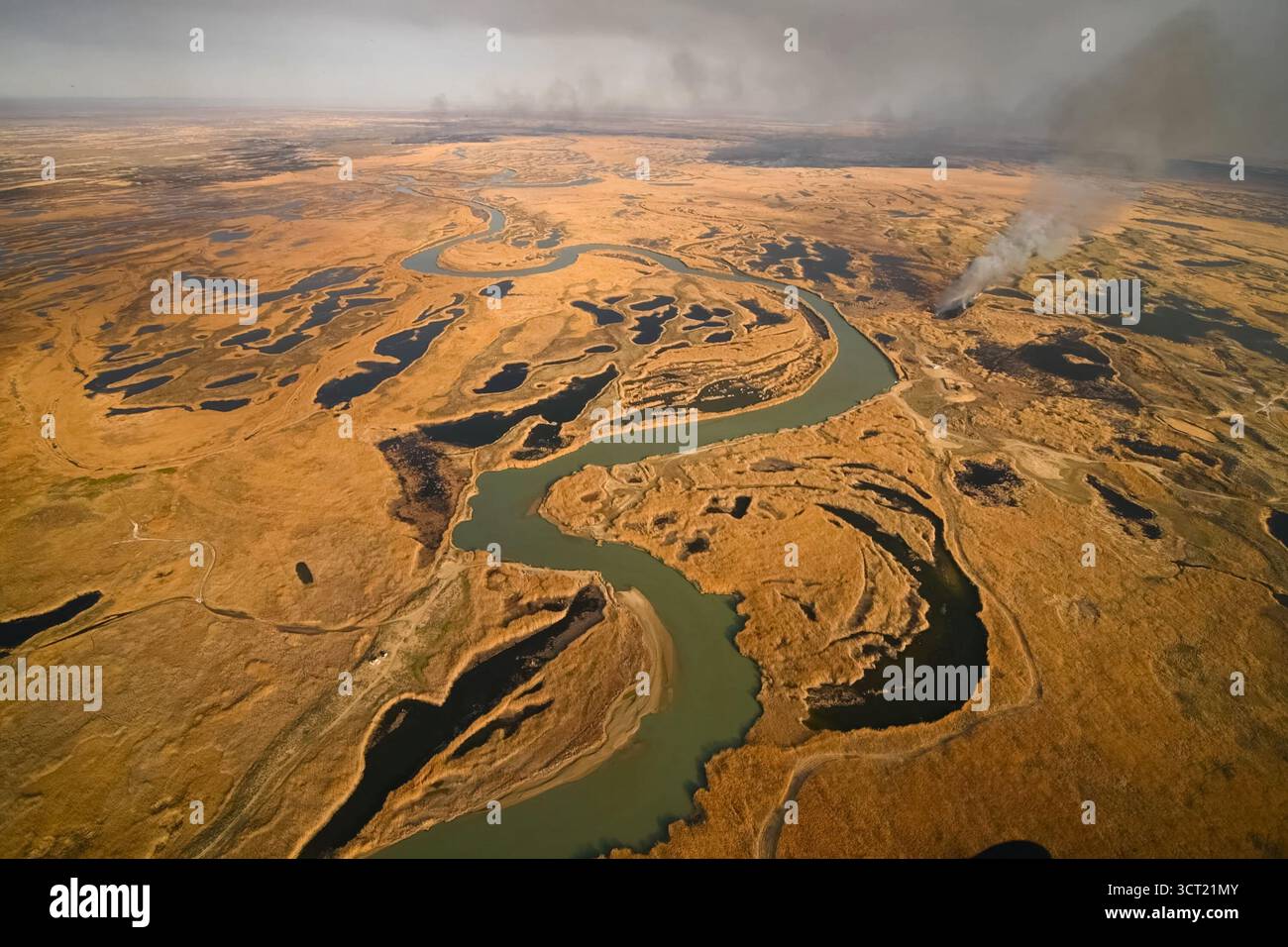tundra fire. Burning dry grass and peat bogs, fire and smoke in the ...