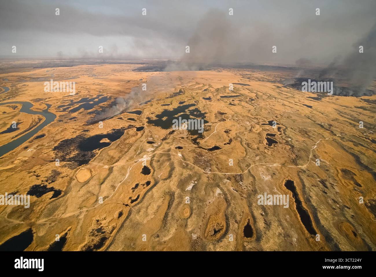 tundra fire. Burning dry grass and peat bogs, fire and smoke in the ...