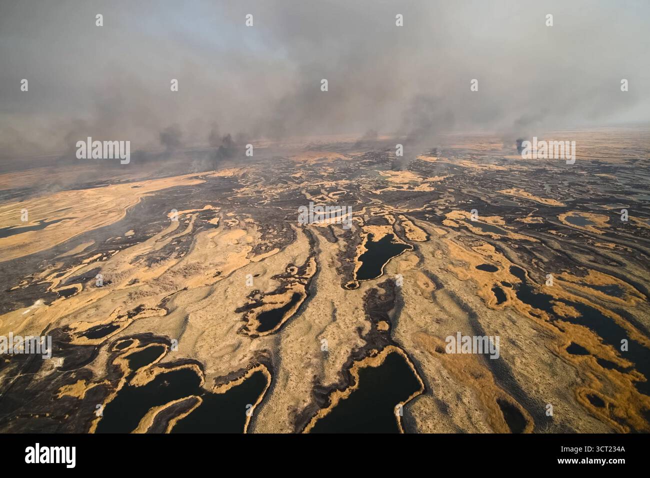 Tundra is burning hi-res stock photography and images - Alamy