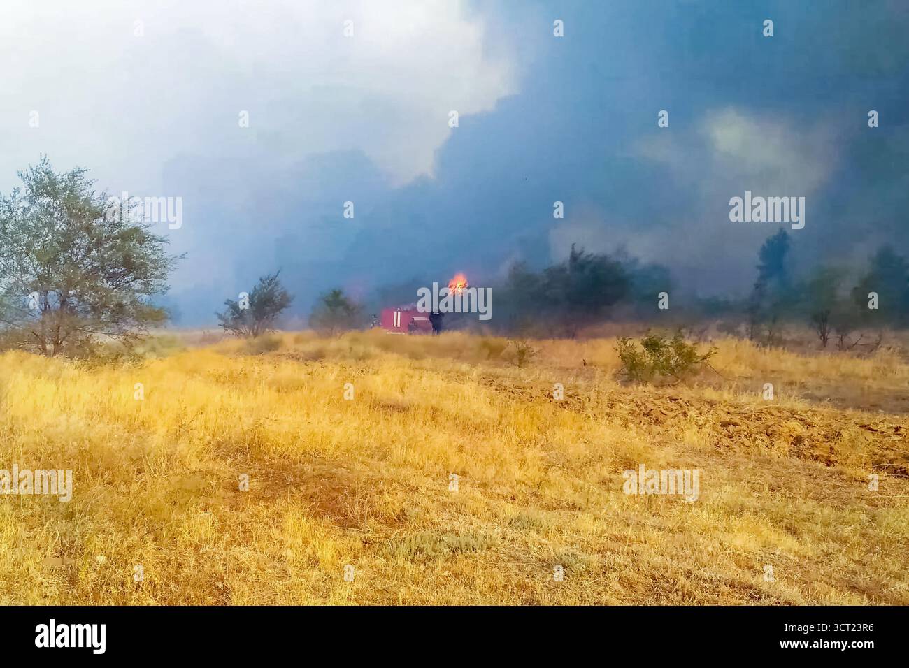 Steppe fire. Burning dry grass, fire and smoke Stock Photo - Alamy