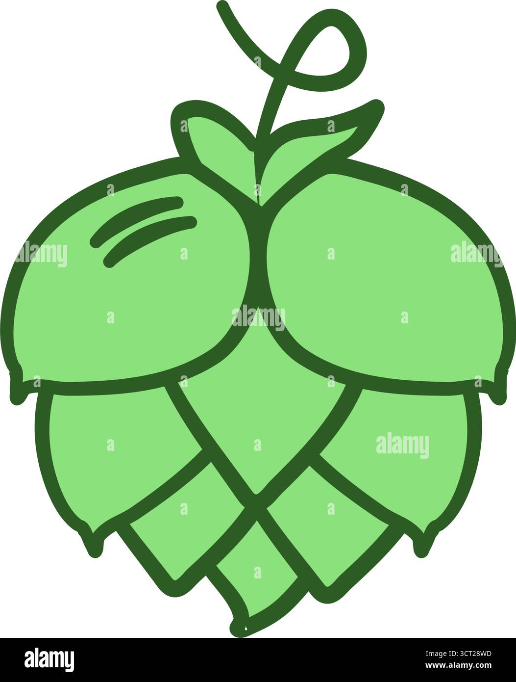 Hop botanical illustration hi-res stock photography and images - Alamy