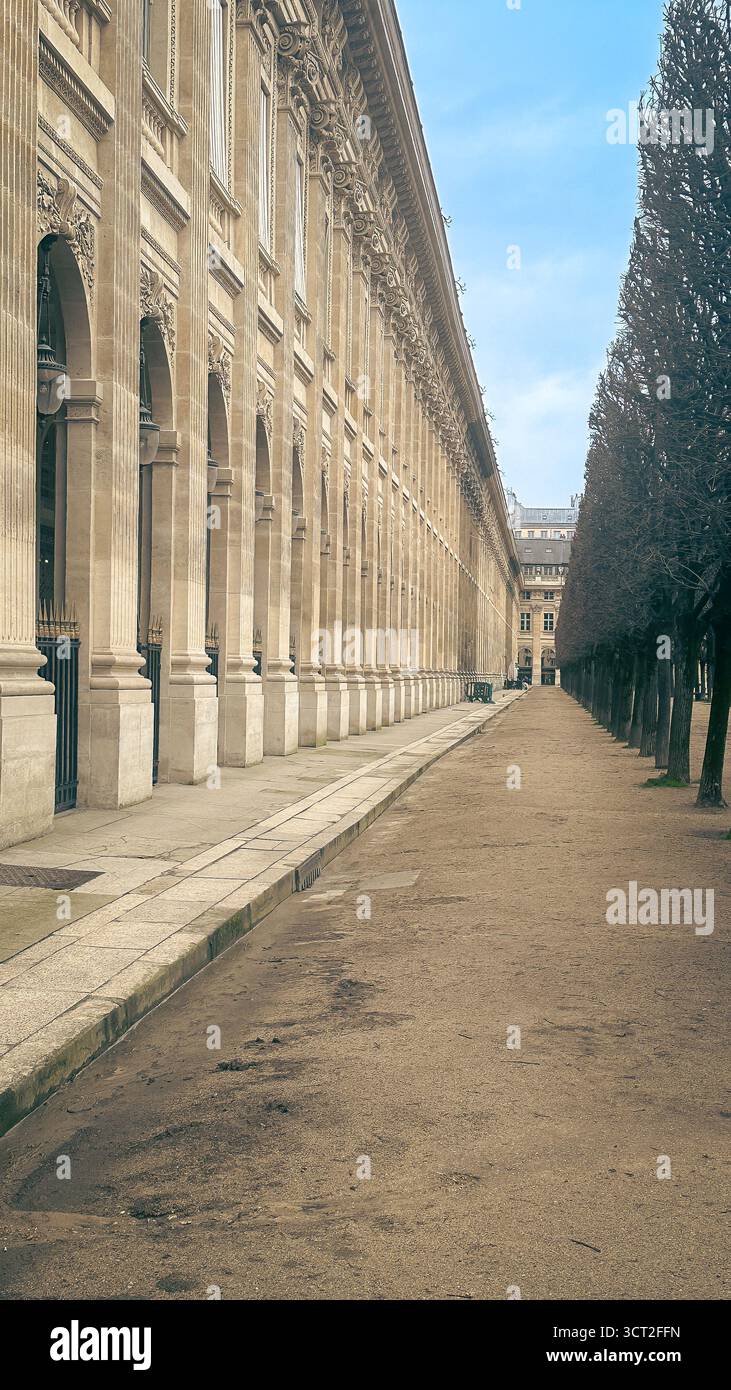 Historic colonnade and tree-lined walkway in Paris Stock Photo - Alamy