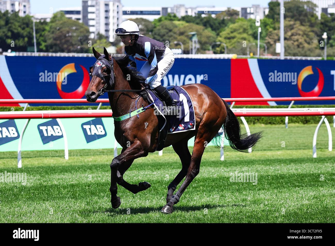 4th October 2025, Royal Randwick, Sydney, New South Wales, Australia ...