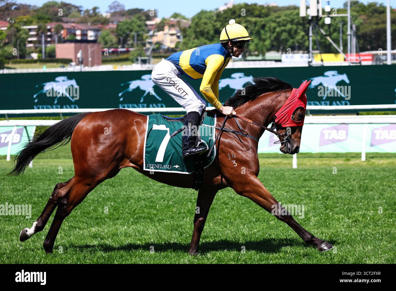 4th October 2025, Royal Randwick, Sydney, New South Wales, Australia ...