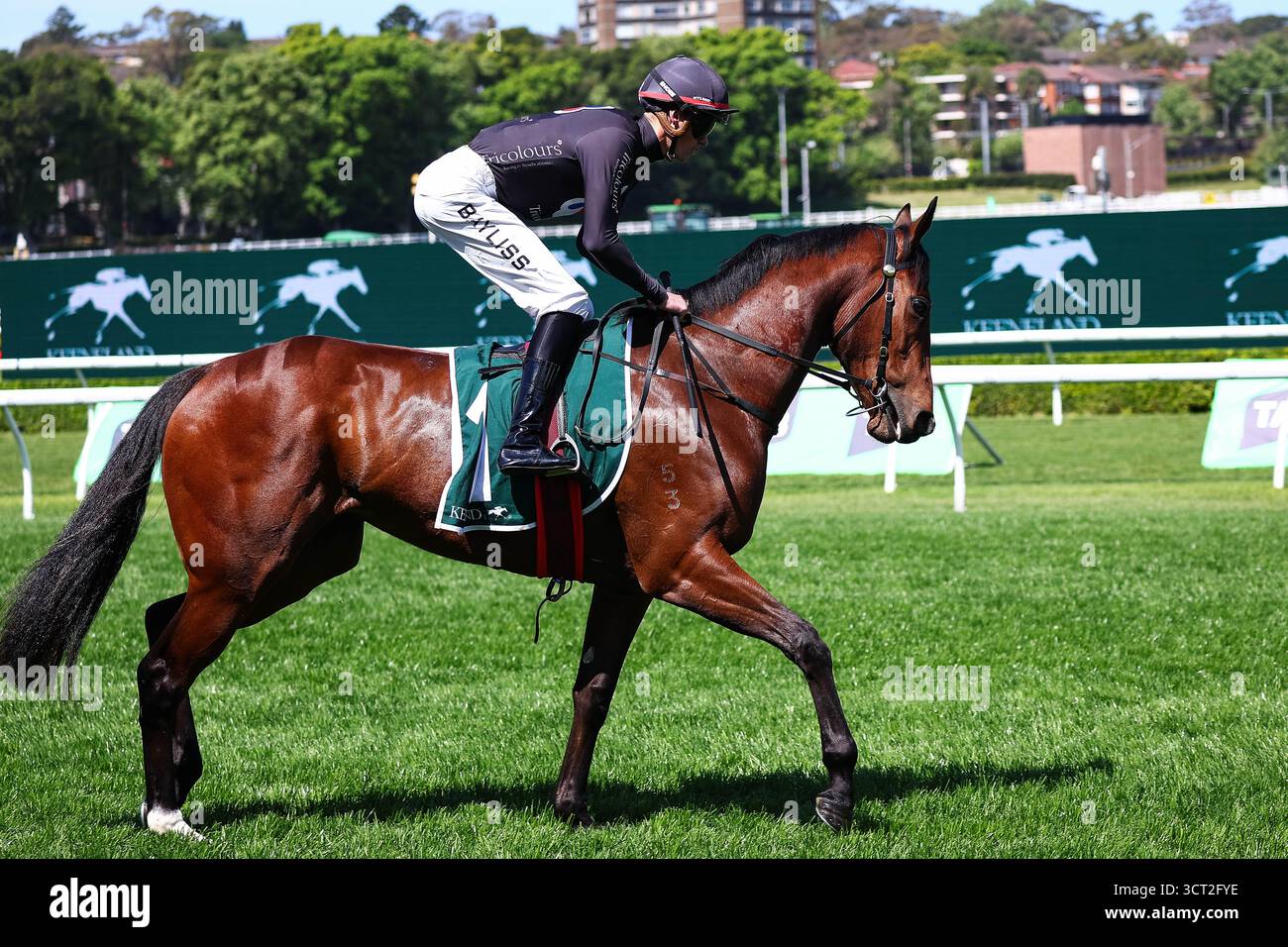 4th October 2025, Royal Randwick, Sydney, New South Wales, Australia ...