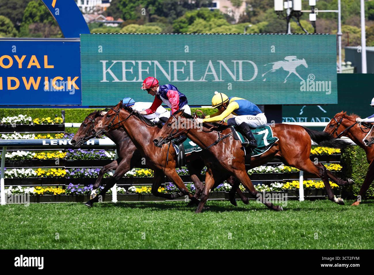 4th October 2025, Royal Randwick, Sydney, New South Wales, Australia ...
