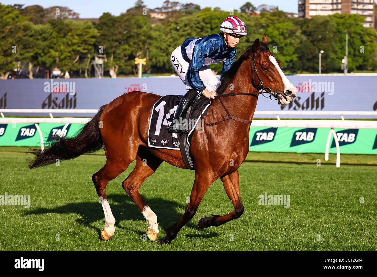 4th October 2025, Royal Randwick, Sydney, New South Wales, Australia ...
