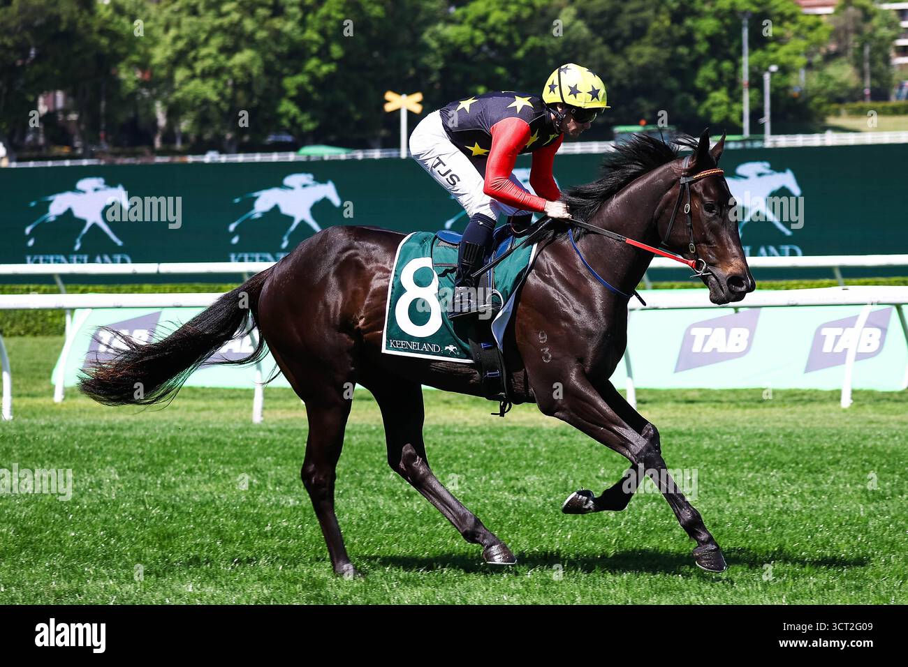 4th October 2025, Royal Randwick, Sydney, New South Wales, Australia ...
