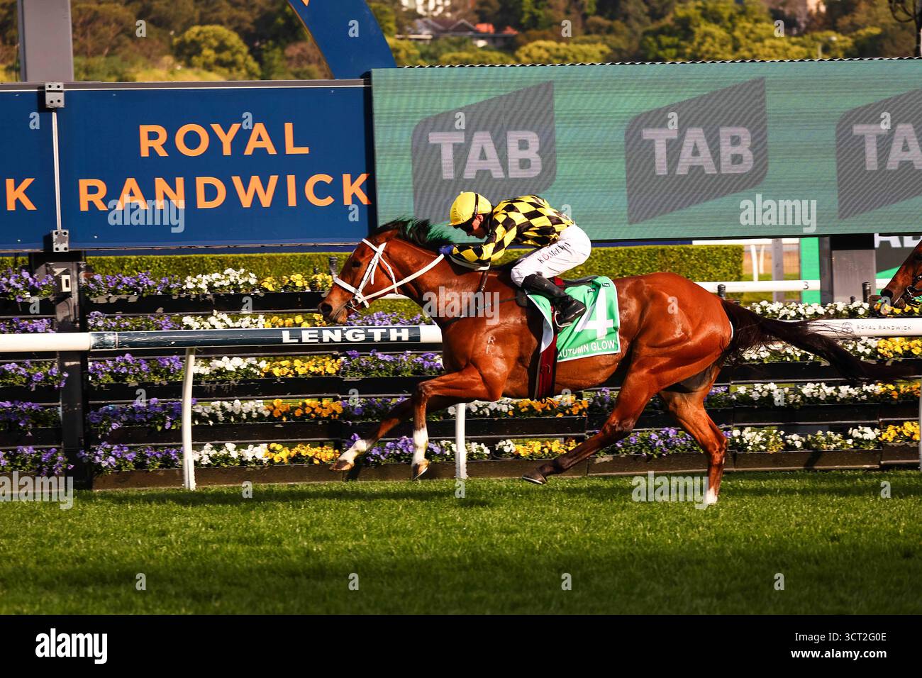 4th October 2025, Royal Randwick, Sydney, New South Wales, Australia ...