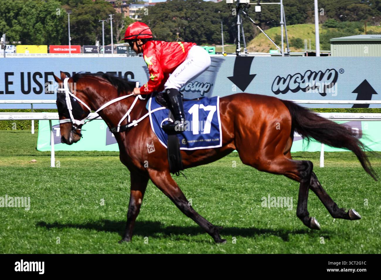4th October 2025, Royal Randwick, Sydney, New South Wales, Australia ...