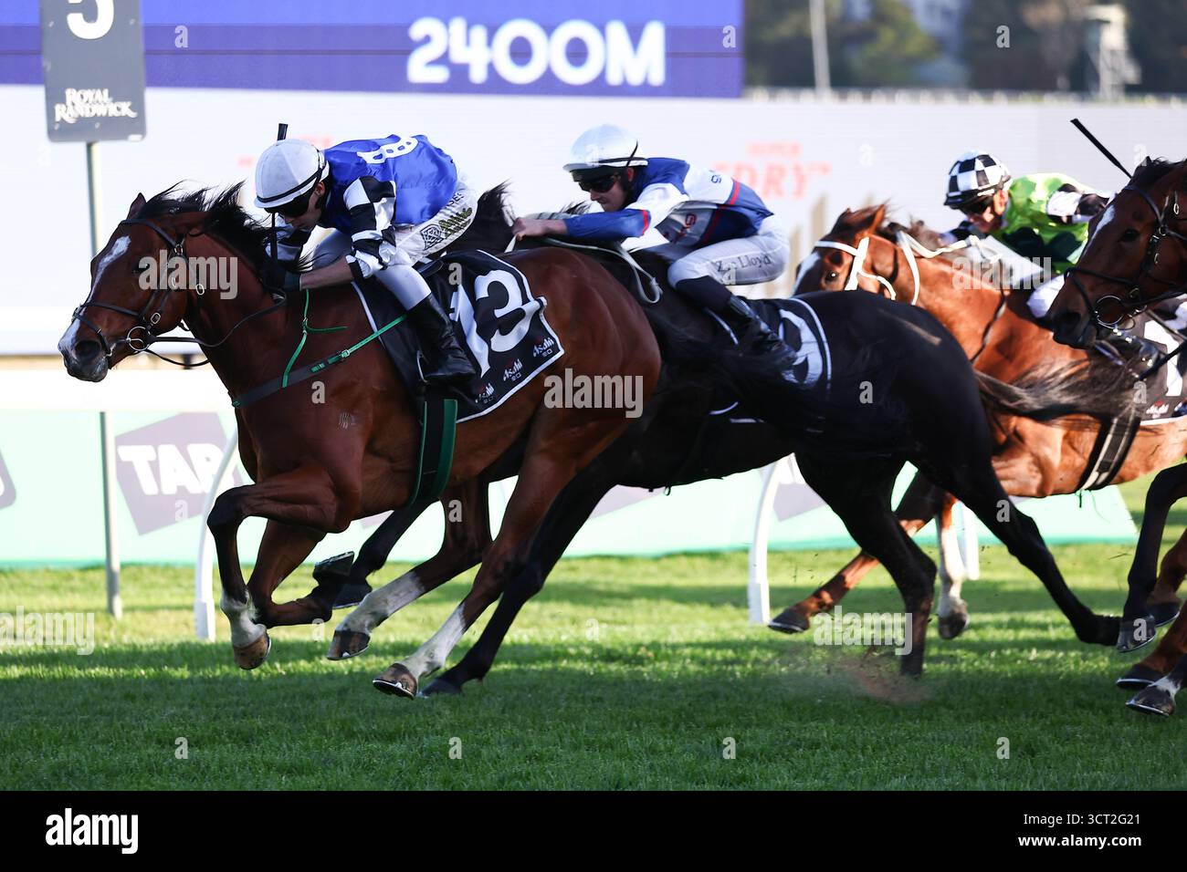 4th October 2025, Royal Randwick, Sydney, New South Wales, Australia ...