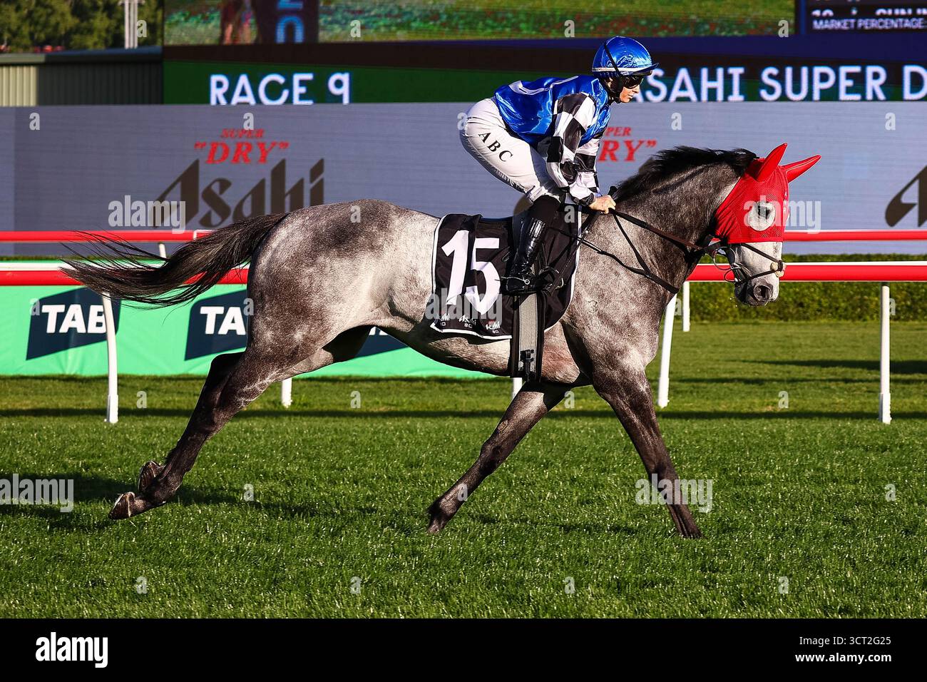 4th October 2025, Royal Randwick, Sydney, New South Wales, Australia ...