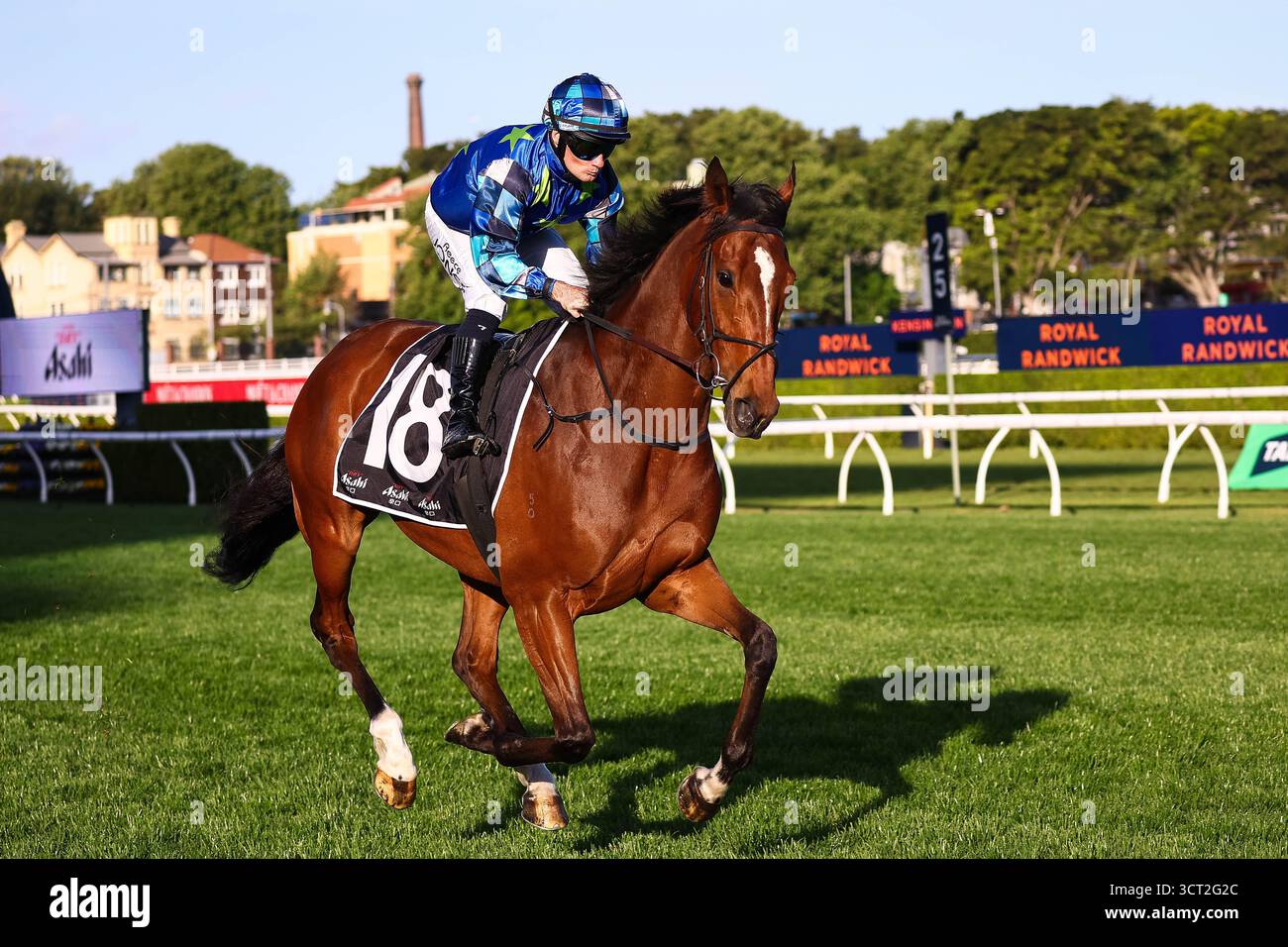 4th October 2025, Royal Randwick, Sydney, New South Wales, Australia ...