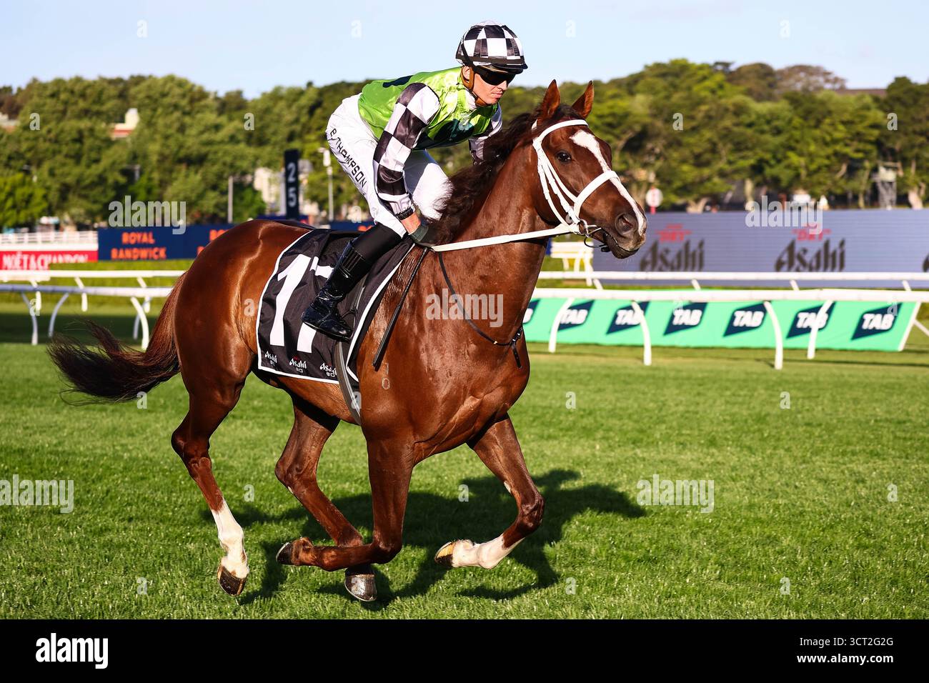 4th October 2025, Royal Randwick, Sydney, New South Wales, Australia ...