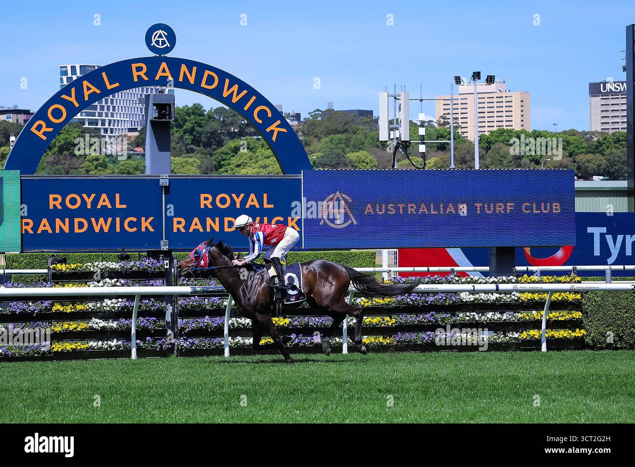 4th October 2025, Royal Randwick, Sydney, New South Wales, Australia ...