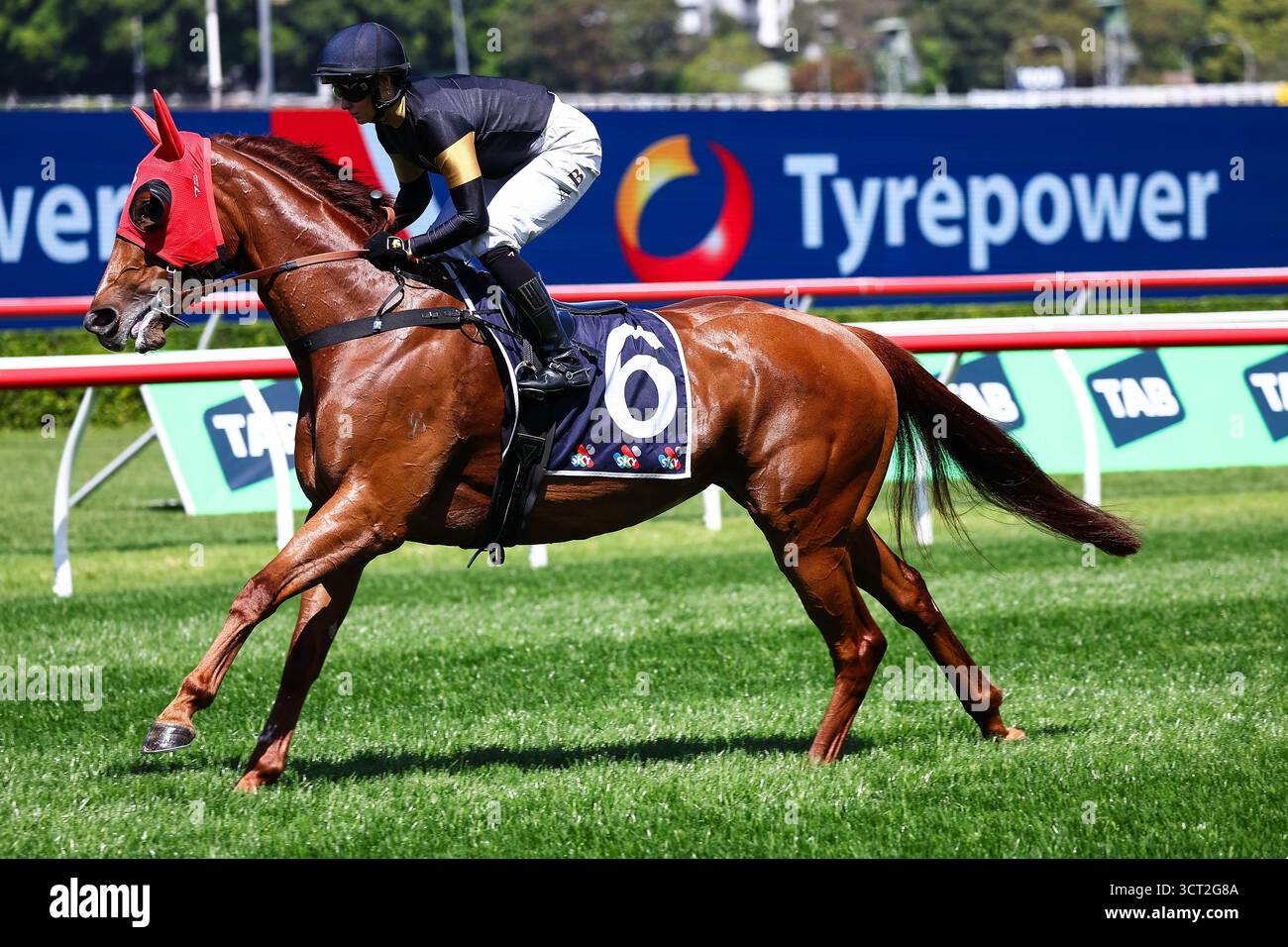 4th October 2025, Royal Randwick, Sydney, New South Wales, Australia ...