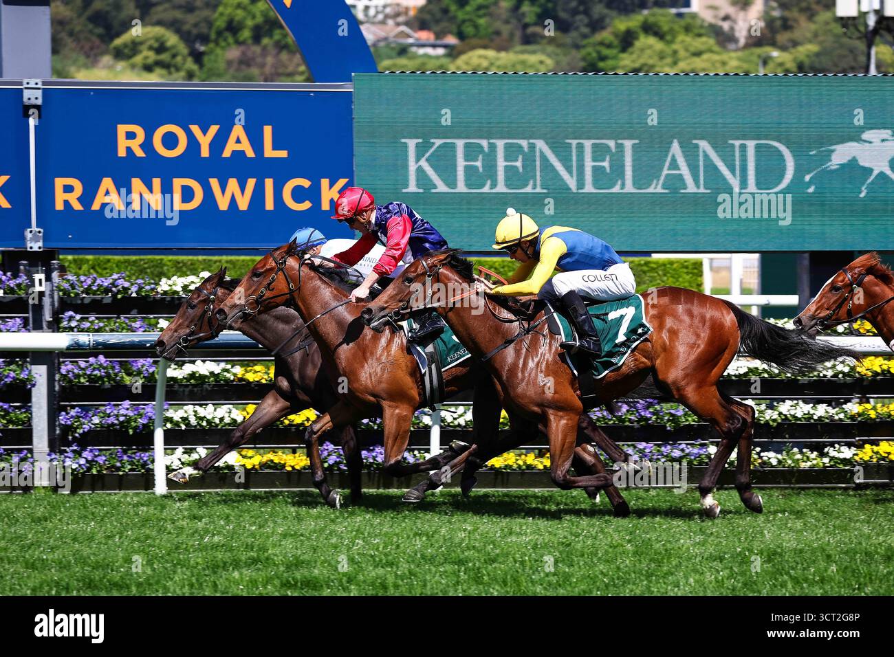 4th October 2025, Royal Randwick, Sydney, New South Wales, Australia ...