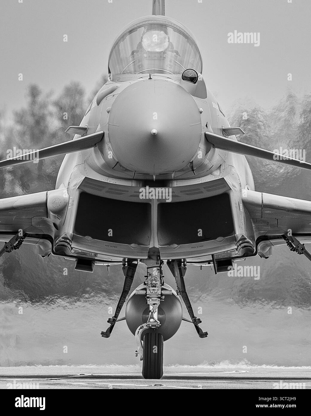 Raf eurofighter typhoon 29 squadron Black and White Stock Photos ...