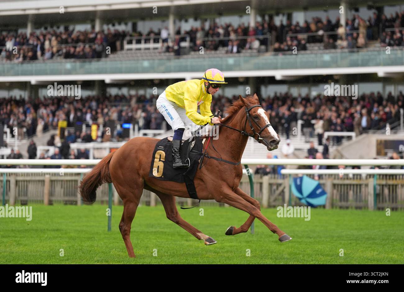 Ray Dawson on Princess Rascal going on to win the British EBF Premier Fillies' Handicap at ...